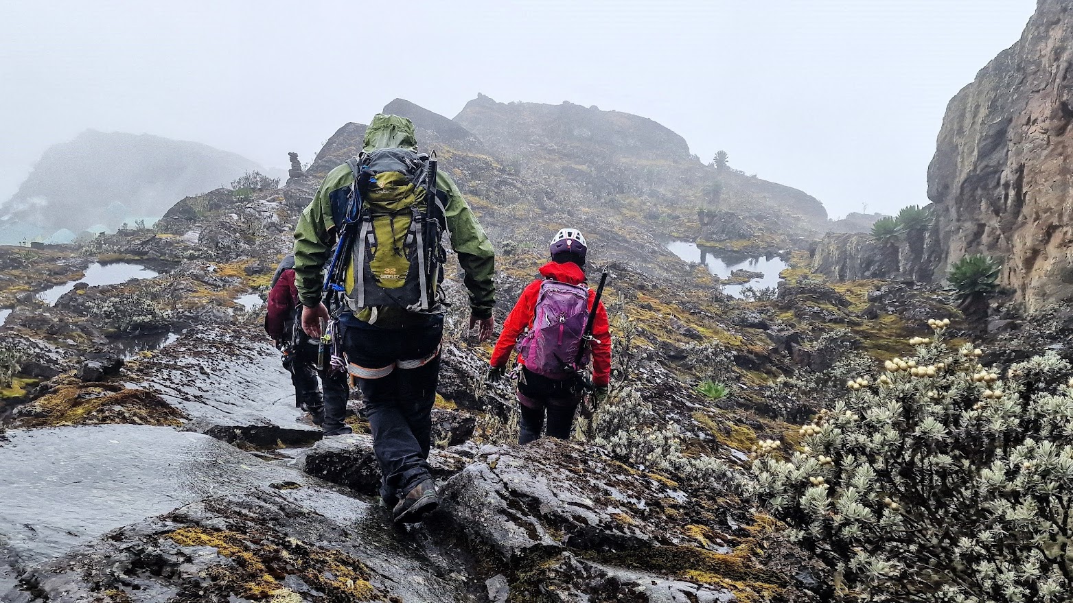 2 Days Rwenzori Hike to Lake Mahoma/Mahoma Loop Trail Guide